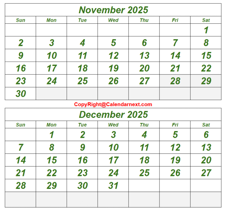 Printable Blank November & December 2025 Calendar in PDF